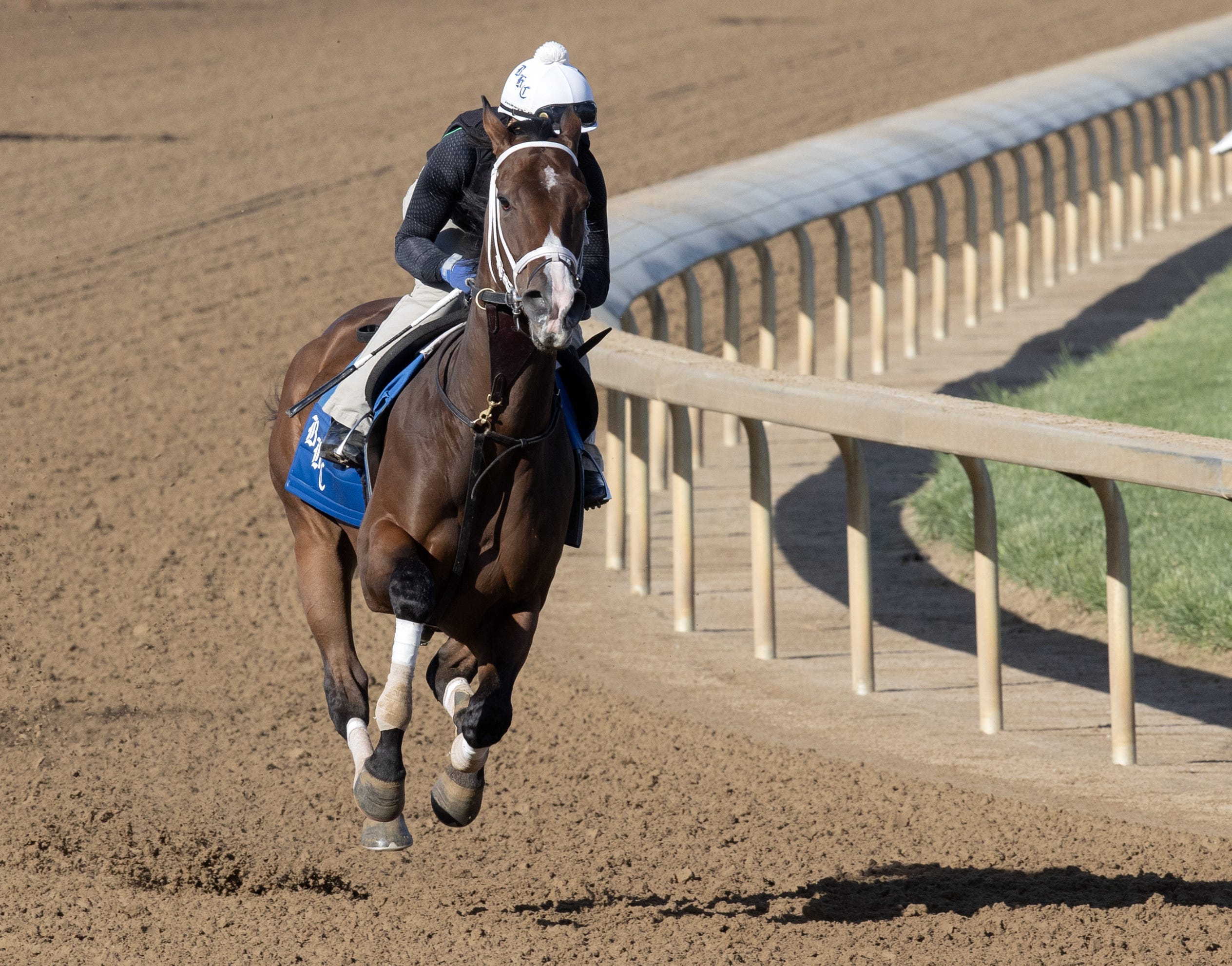 Almostgone Rocket looks best but needs to rebound in wide-open sprint